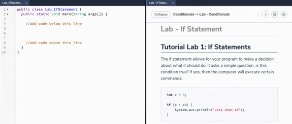 zyBooks vs CBooks for Computer Science Education | Codio